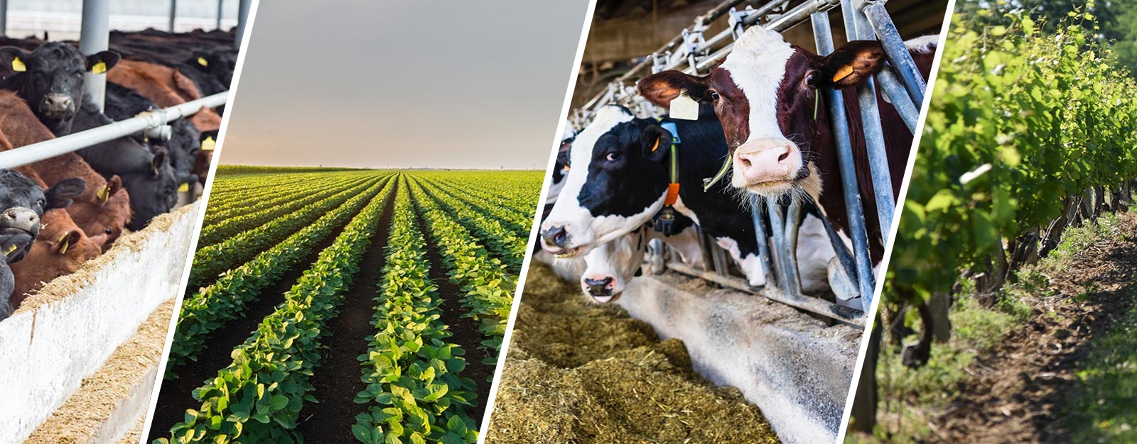 Digital Farm Management | Topcon Positioning