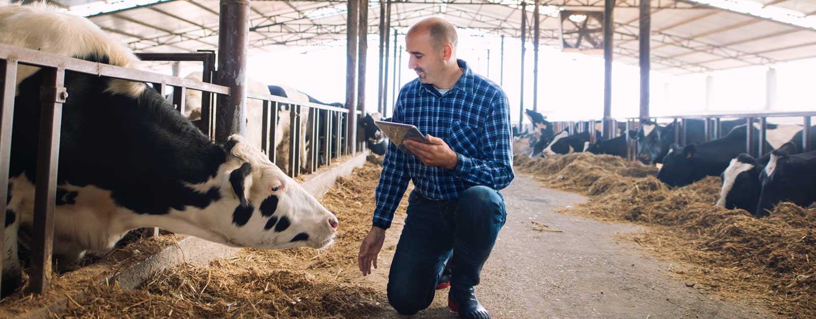 Feed Management | Topcon Positioning