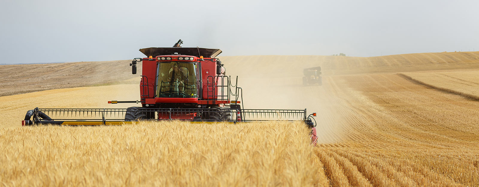 AGS-2 - Guíe conforme al plan | Topcon Positioning